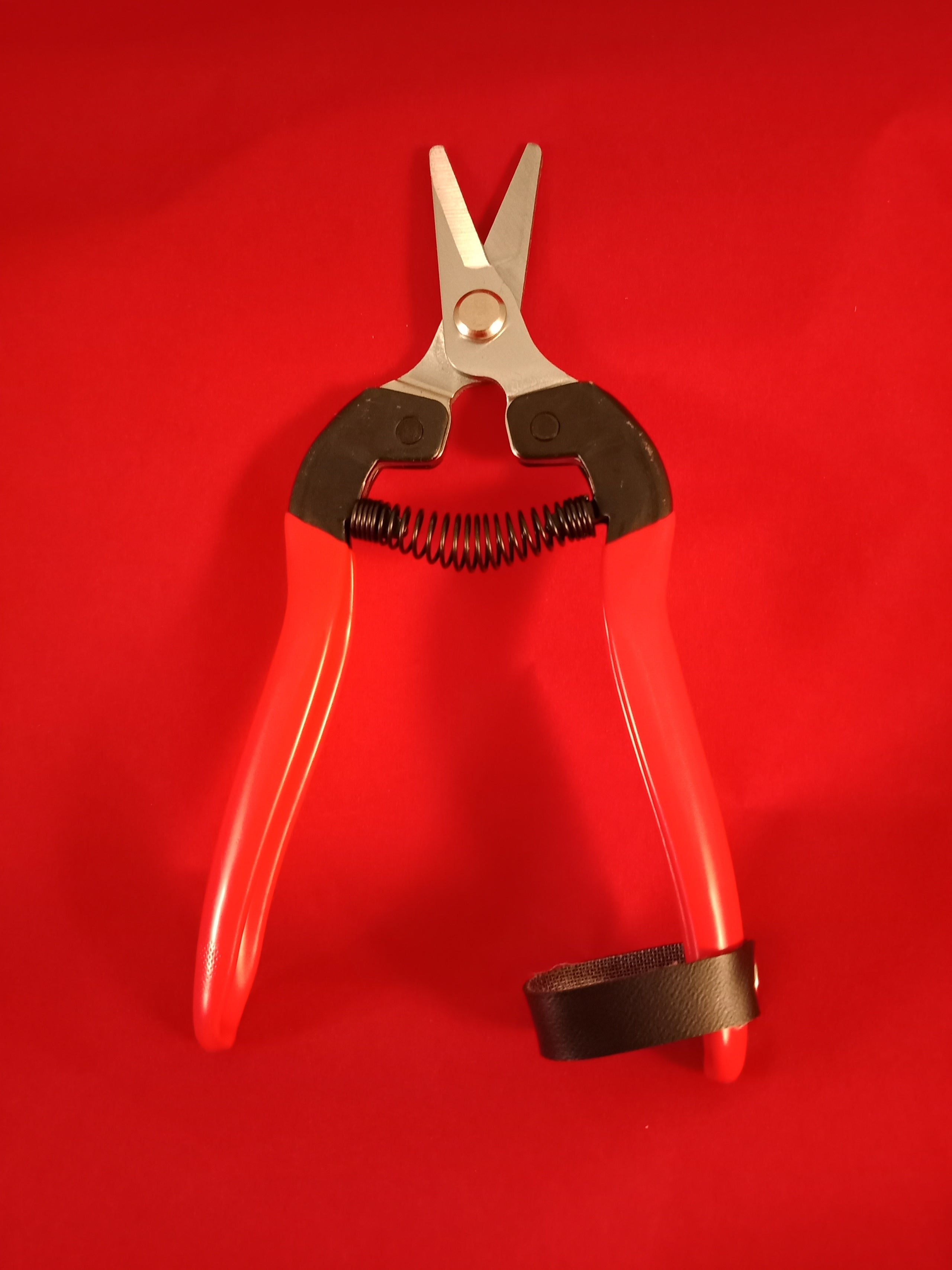 RYSET GT460 Fruit Picking Shear | Telopia Tools